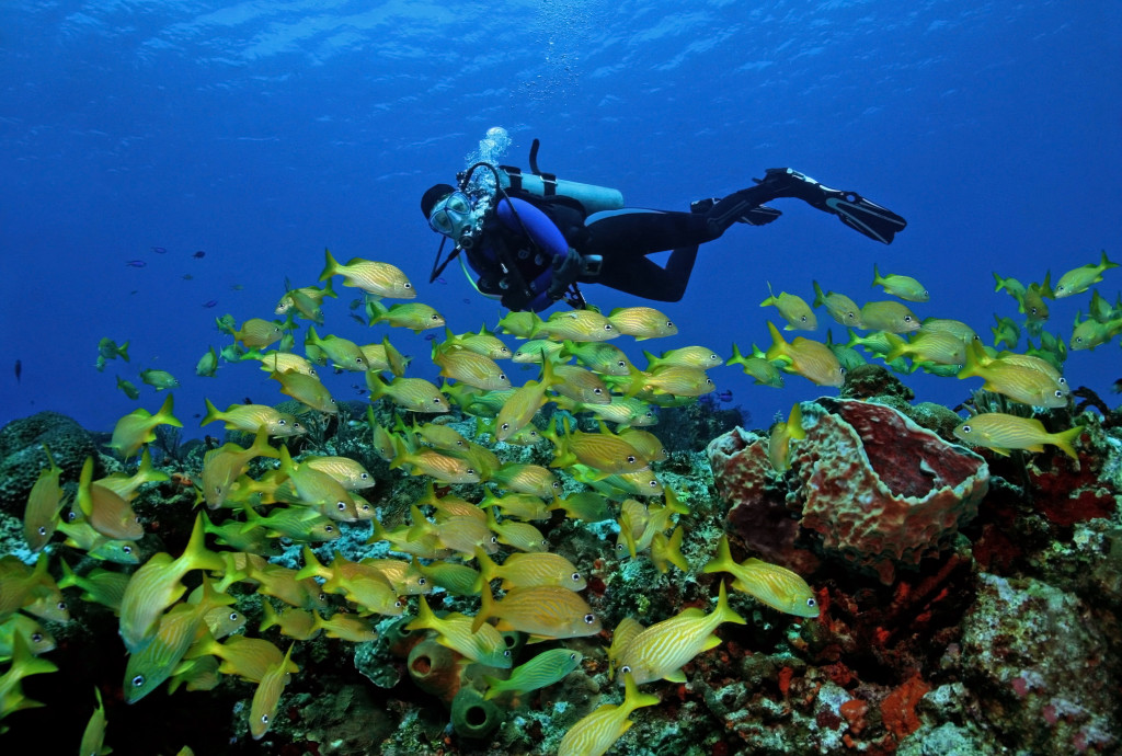 Bonaire Group Trip - Ski Scuba Center