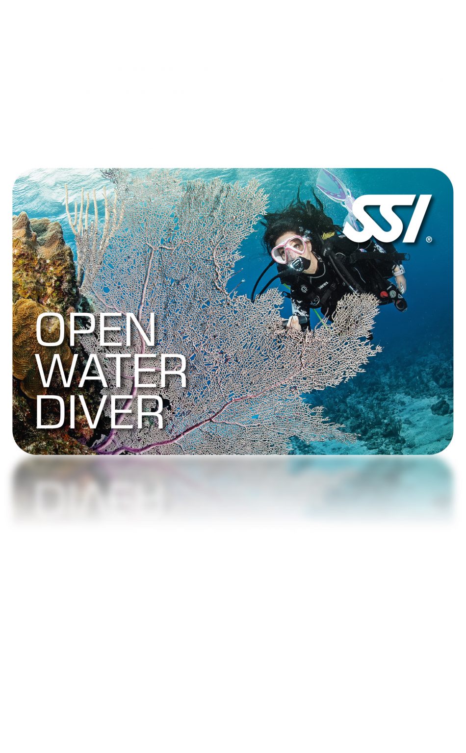 Open Water Diver - Ski Scuba Center
